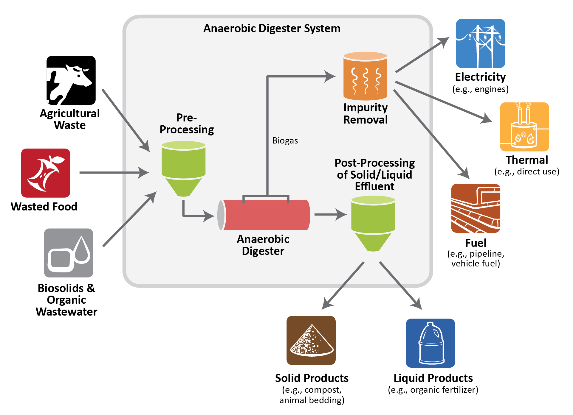 From Farm Waste to Clean Energy: The Evolution of Anaerobic Digestion ...